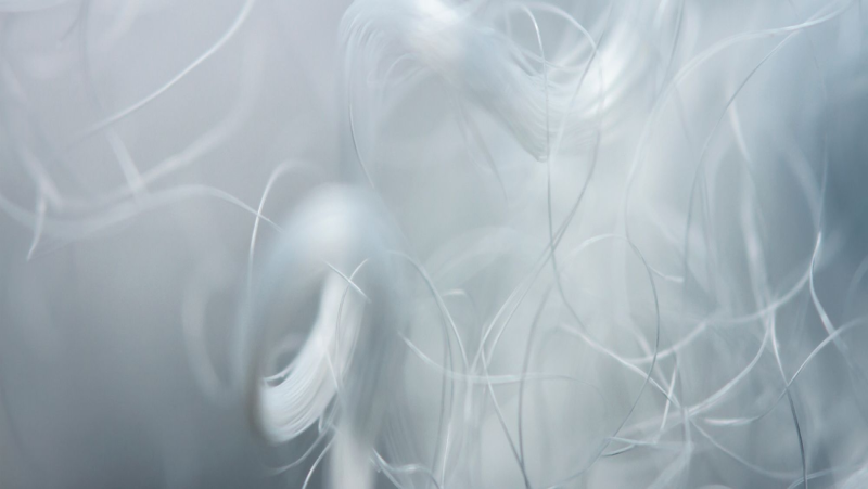 The Ultimate Guide to Polyester Staple Fibre